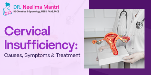 Cervical Insufficiency: Causes, Symptoms and Treatment